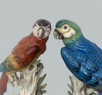 Pair Antique German Porcelain Birds Parakeets Cockrel's Cockatoos ...