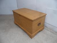 Antique Vintage Chests & Storage Trunks for Sale | LoveAntiques.com