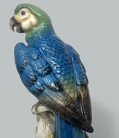 Pair Antique German Porcelain Birds Parakeets Cockrel's Cockatoos ...