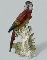 Pair Antique German Porcelain Birds Parakeets Cockrel's Cockatoos ...